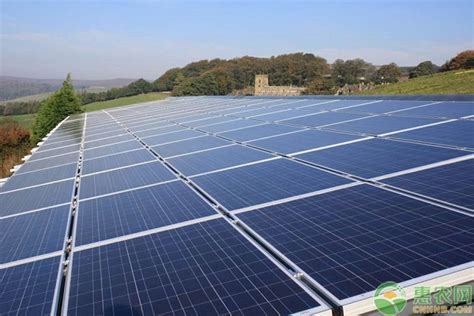 2023冷门行业赚钱排行榜 惠农网