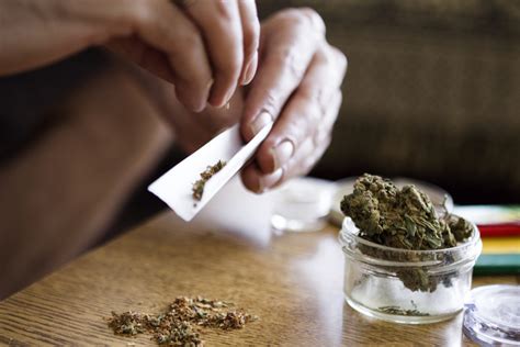 캐나다인 마리화나 합법화 후 사용률 늘어