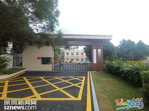 葵涌深度打造“一老一小”综合服务中心，让老幼两代共享高质量服务大鹏网