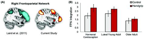 Right Frontoparietal Network Connectivity During The Oddball Task A