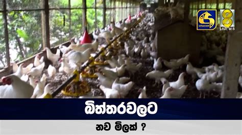 බිත්තරවලට නව මිලක් Youtube