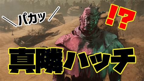 【dbd】カラスの巣でハッチ勝利【初心者キラー】 Deadbydaylightゲーム実況