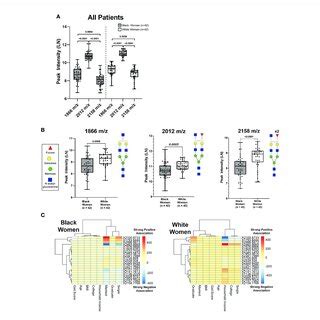 Specific N Glycan Patterns Are Observed Among Women At Risk For Download Scientific Diagram