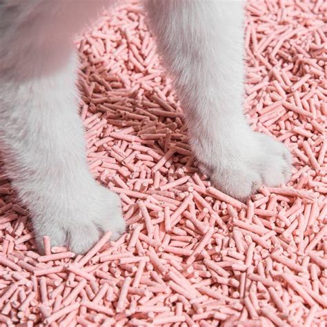 МОНГОЛЫН МУУР СОНИРХОГЧДЫН НЭГДСЭН ГРУПП Сайн уу Манайхан ямар элс хэрэглэж байна