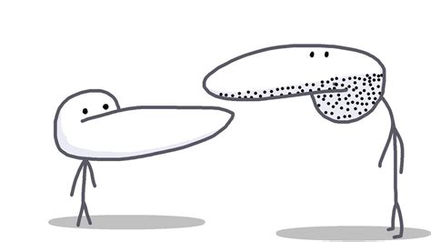 Gradeaundera Again By Kirbongle On Deviantart