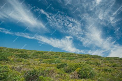 ポルトガルの曇り空の下で茂みのある美しい緑の風景 無料の写真