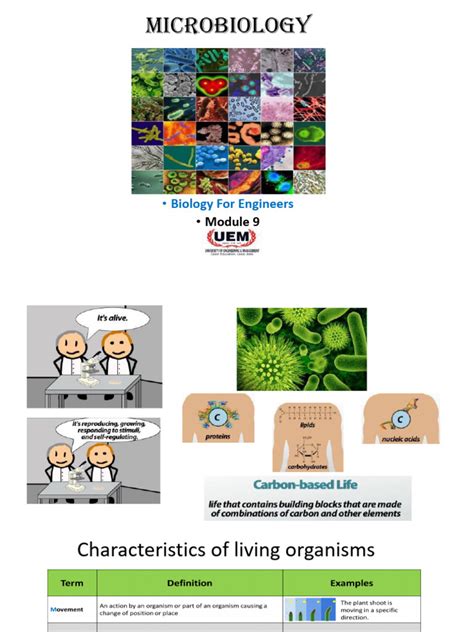 Module 9 Microbiology Pdf