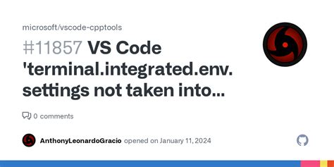 Vs Code Tegratedenv Settings Not Taken Into Account For