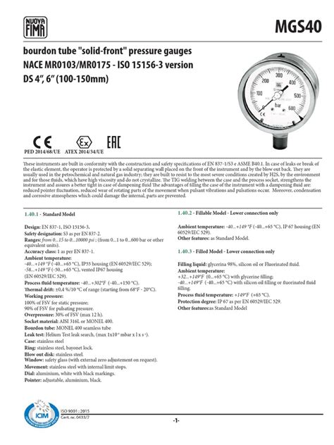 rc5 data sheet mgs40 dn100 150 en pdf pressure measurement chemistry