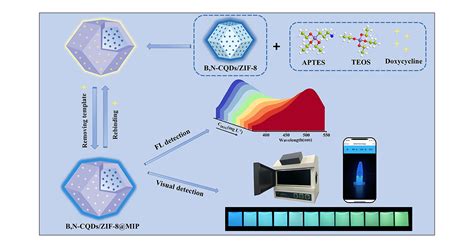 Smartphone Integrated Molecularly Imprinted Ratiometric Fluorescent Sensor For Selective And
