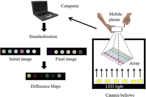 Detection And Discrimination Of Sulfur Dioxide Using A Colorimetric Sensor Array Rsc Advances