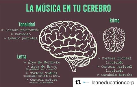 El Efecto De La Música En Nuestro Cerebro Lean Education