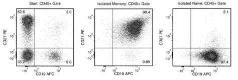 Easysep Human Memory B Cell Isolation Kit Stemcell Technologies