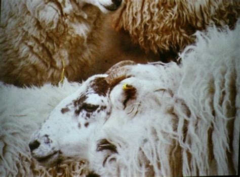 My First Exhibition Review With The Dundee University Review Of The Arts Has Been Posted It