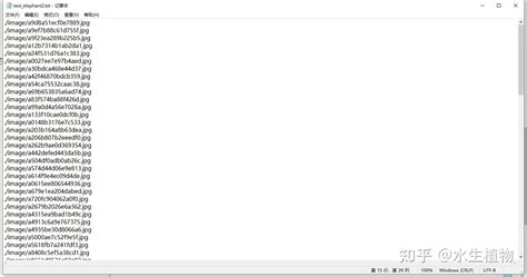 基于yolov 的迁移学习 知乎