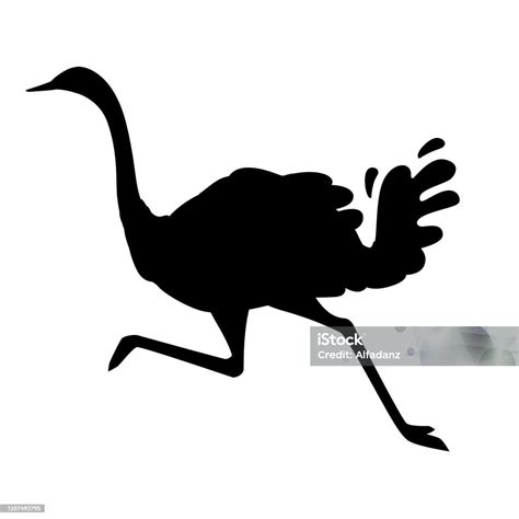 黑色剪影 駝鳥運行非洲無飛鳥卡通動物設計平面向量插圖孤立在白色背景向量圖形及更多剪裁圖圖片 剪裁圖 動物 動物園 Istock
