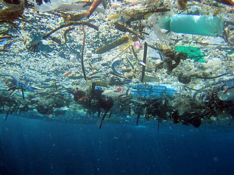 Environmental solutions | Unidad 5: Problemas verdes