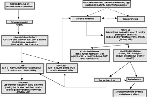 Algorithm For The Treatment Of Acromegaly Note Dashed Lines Represent
