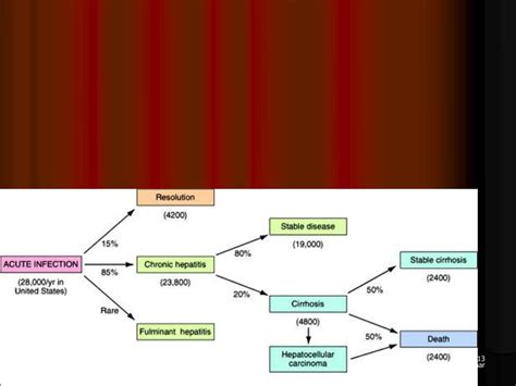 Ppt Acute Parenchymal Disease Of Liver Acute Hepatitis Inflammation