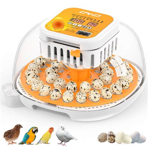 36 Quail Incubators For Hatching Eggs Quail Egg Incubator With