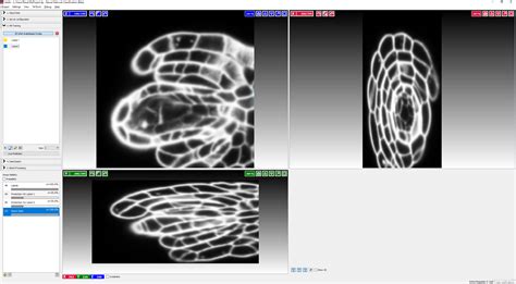 3d unet arabidopsis ovules zenodo