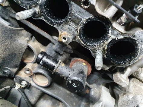 올뉴카니발 예방정비 인젝터크리닝 흡기탈부착크리닝장수명부동액교환인젝터동워셔교환크랑크각센서교환예열플러그교환egr쿨러크리닝예열플러그교환인젝터리턴호스펑션블럭