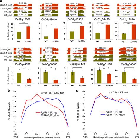Sdg725 But Not Sgd708 Affects Global Intron Retention Shift A