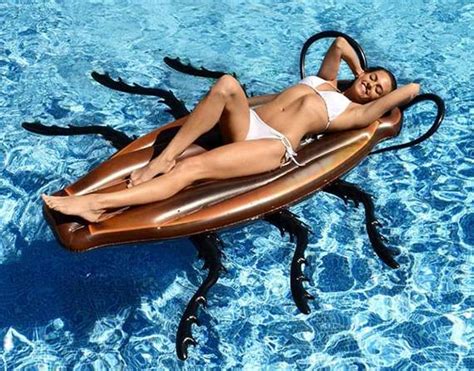 Giant Cockroach Swimming Pool Float Gadgetsin