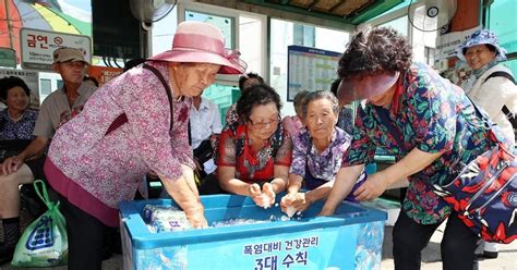 시내버스 정류장 얼음 너무 시원해요