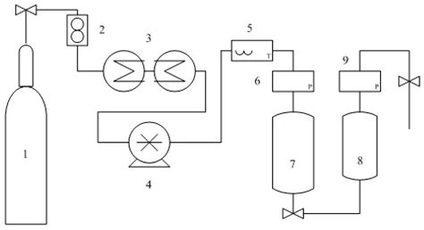 Supercritical Fluid Extraction Algae
