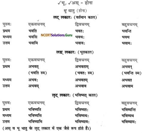 Class 7 Sanskrit Grammar Book Solutions धातुरूप प्रकरणम् Mcq Questions