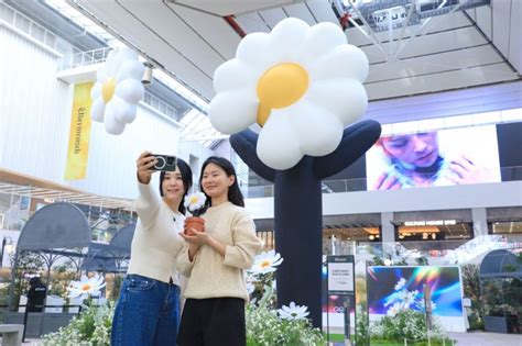 지드래곤 데이지 여의도에 피다 아시아경제