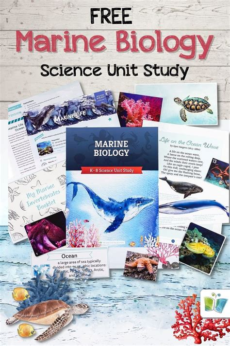 Marine Biology Science Unit Studies Marine Biology Biology