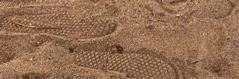 Footprints In The Sand