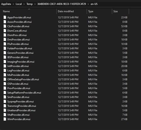 Windows Folder Or Malware Rantivirus