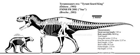 T Rex VS Farmers With Shotguns R Whowouldwin
