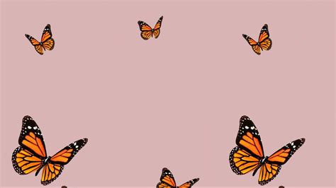 100 Butterflies Laptop Wallpapers