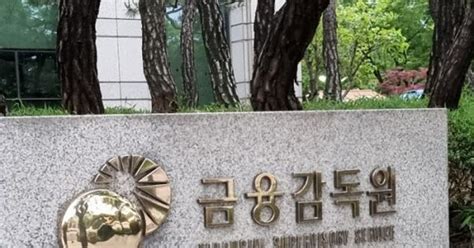 금감원 Etf 광고 오인 소지 있어부적절 사례 적발