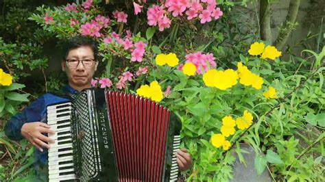 봄날은 간다 아코디언 김경중 Youtube