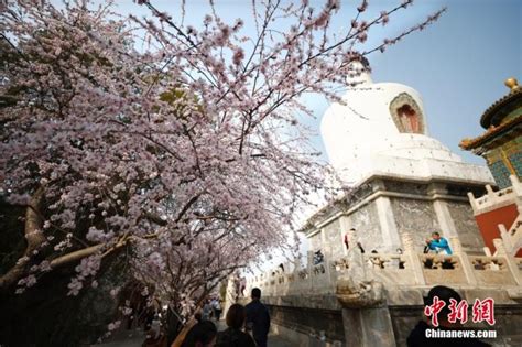 专家大部分地区气温偏暖对农业生产利大于弊 中国国情 中国网