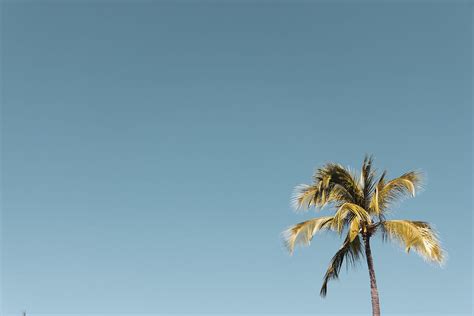 Summer Slips Away Tom Malone Medium