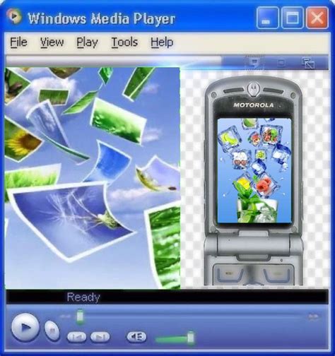 An Image Of A Cell Phone Screen With Windows Media Player In The Bottom