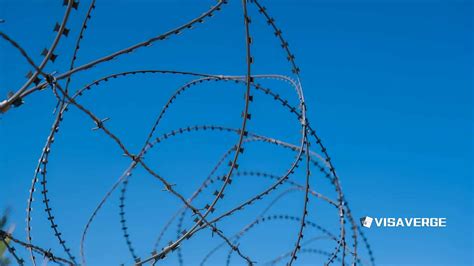 Ice Many Alleged Gang Members Deported Had No Us Criminal Records