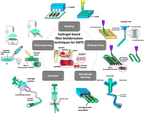 Hydrogel Based Fiber Biofabrication Techniques For Skeletal Muscle