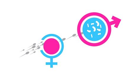 Sexual Vector Images Over 69000