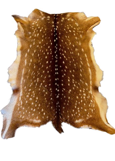 Axis Deer Hides Archives Traditional Tanners