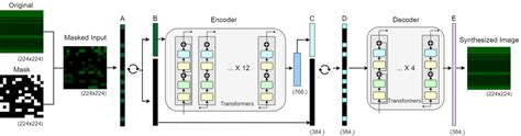 Overview Of The Masked Auto Encoder Which Takes Masked Images As Input Download Scientific