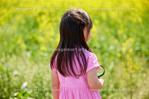 虫眼鏡を持つ日本人の女の子の写真素材 イメージマート
