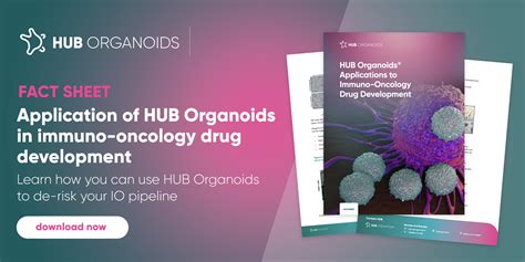 Home Hub Organoids