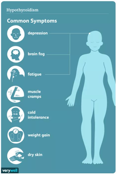 Symptoms And Complications Of Hypothyroidism Stella